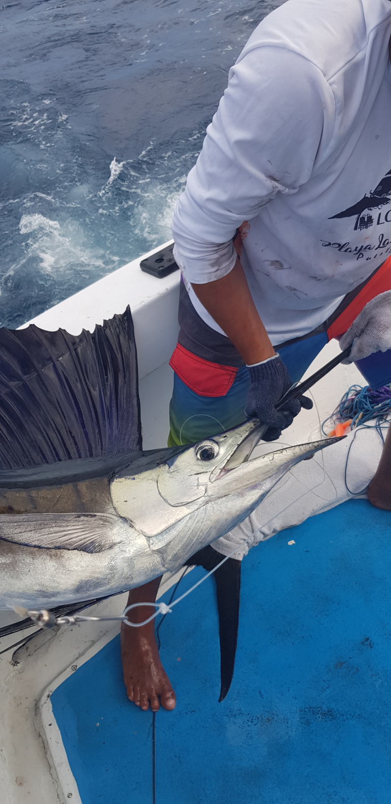 Punta Mita fishing report June 2026 - Punta Mita Fishing Charters